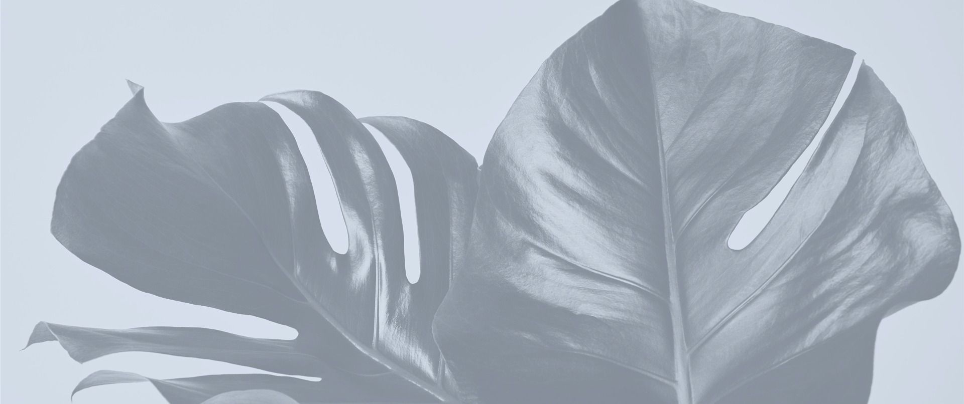 New Customer Application – Trufacial