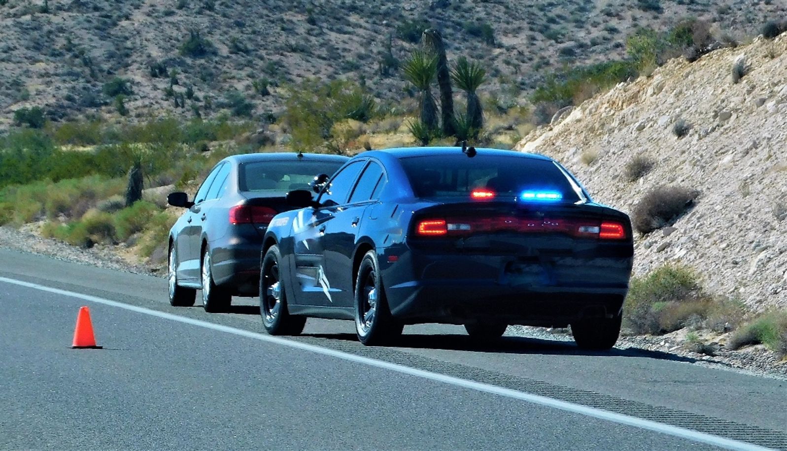 CCW Law Enforcement Encounters