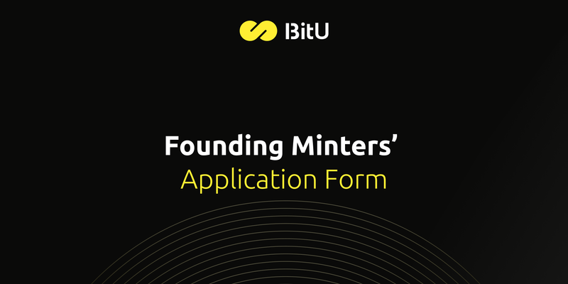 Apply to Mint BITU - BTC-Backed Stablecoin Partner Application