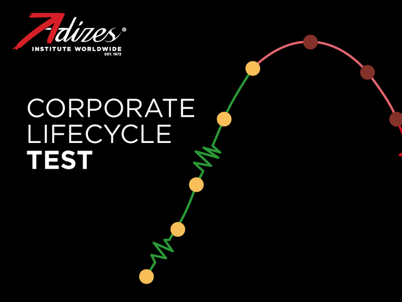 Adizes Examen Corporativo Ciclo de Vida