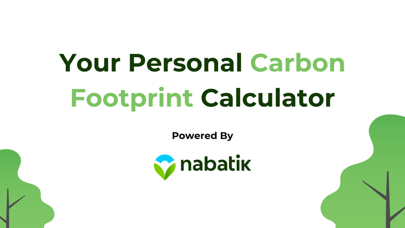 Your Personal Carbon Footprint Calculator