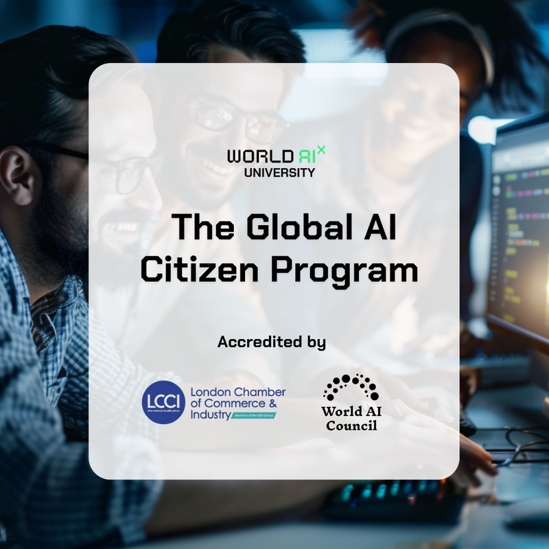 The AI Citizen Program Application