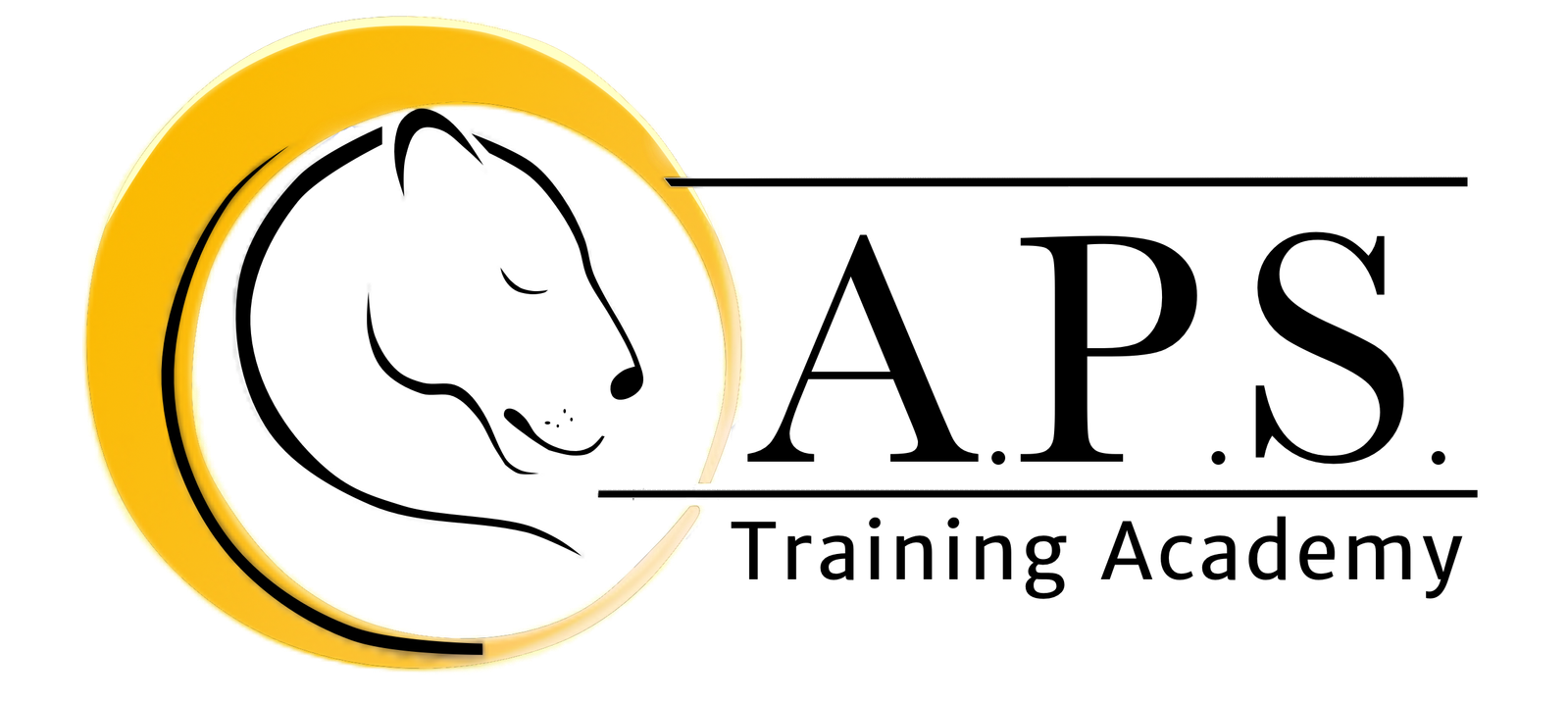 APS Training Academy Instructor Job Application