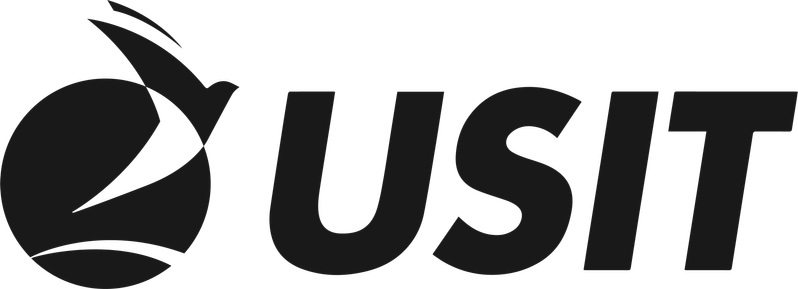 Get the USIT Grad Visa Guide