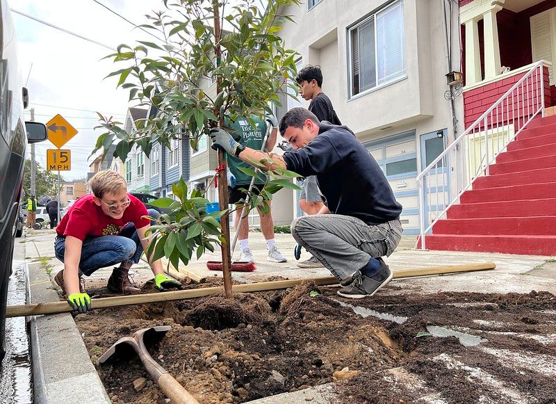 Tree Planting Request