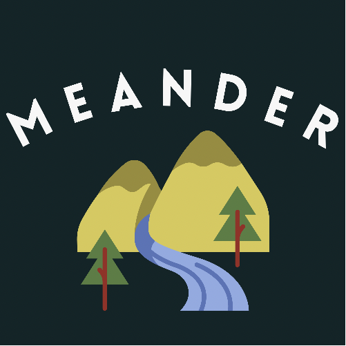 Meander People Analyst Co-op Application