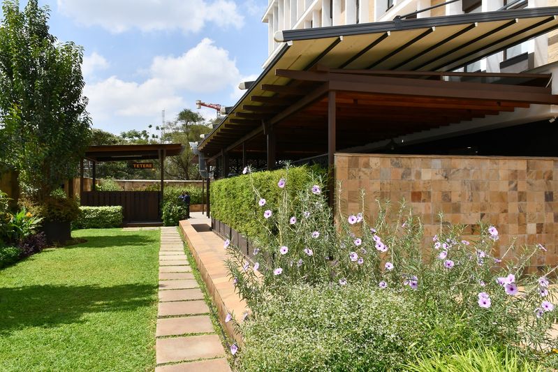 Alcohol Use (AUDIT) Self Screening