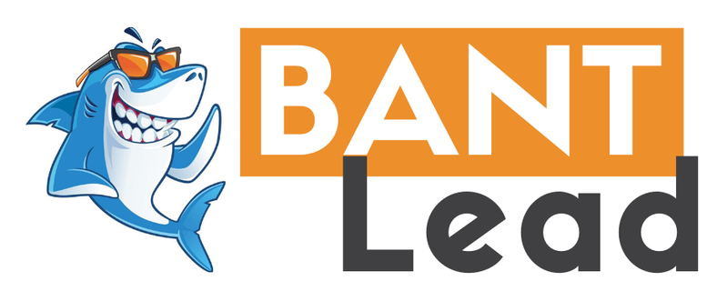 Devis sur mesure | BANT Lead