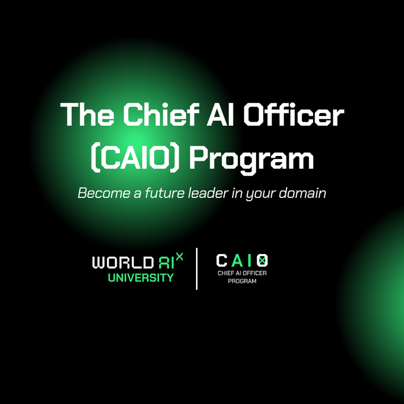 Chief AI Officer Program Application