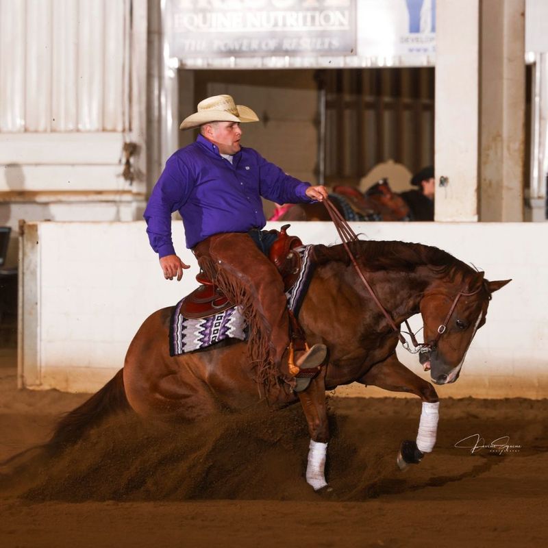 Lundahl Performance Horses Training Application