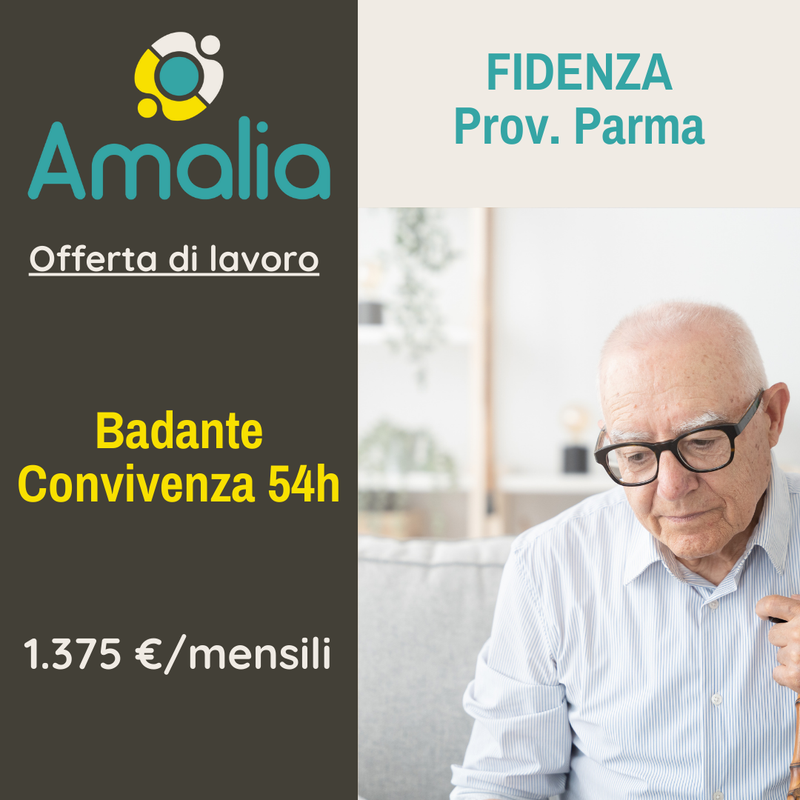 Offerta di lavoro badante in convivenza a Fidenza (PR) | 1375 €/mese