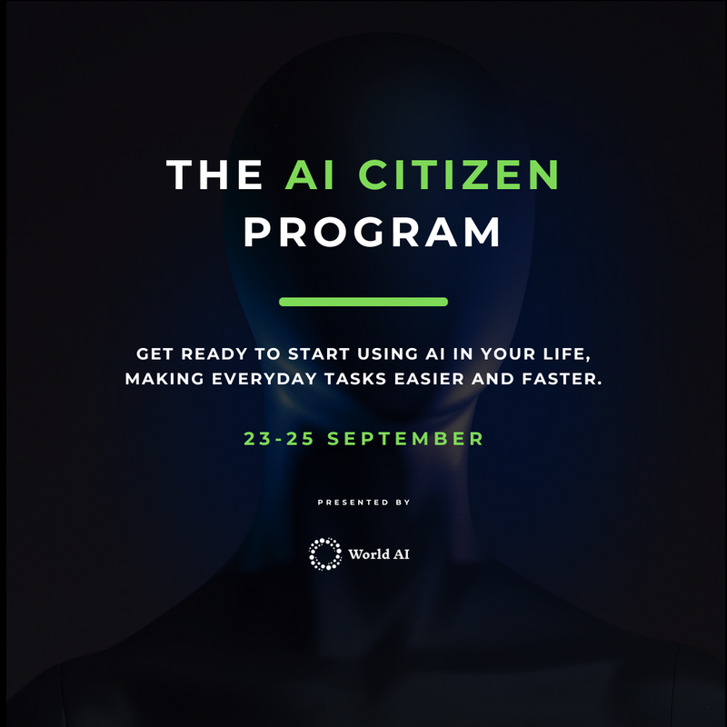 Chief AI Officer Program Application