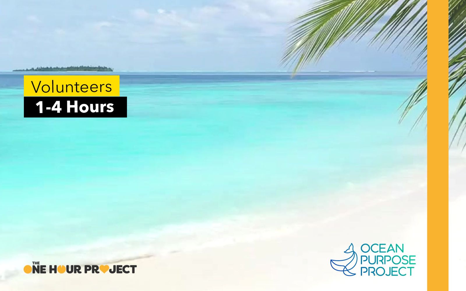 Ocean Purpose Project Volunteers