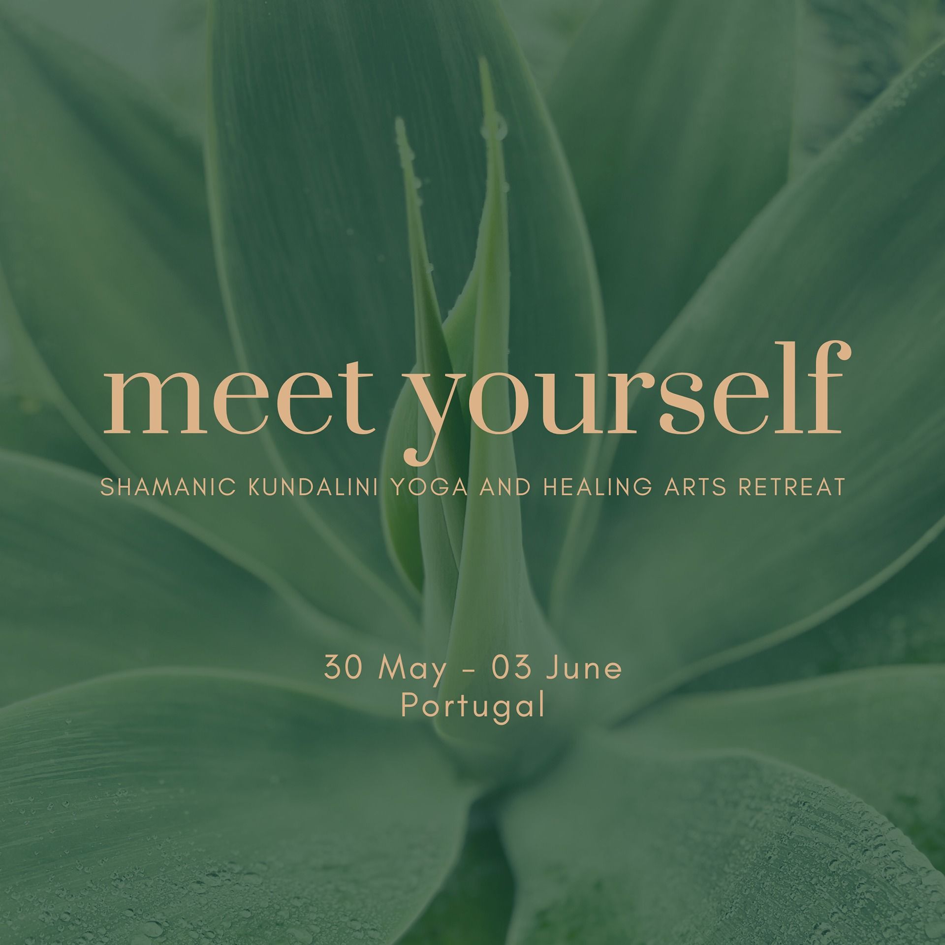 Meet Yourself Interest Form