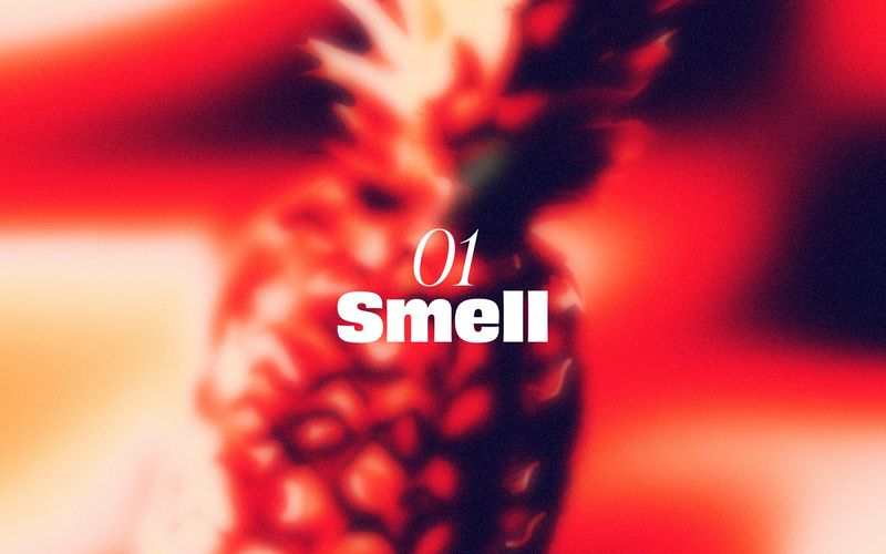 CHEEX Sensuality Quiz