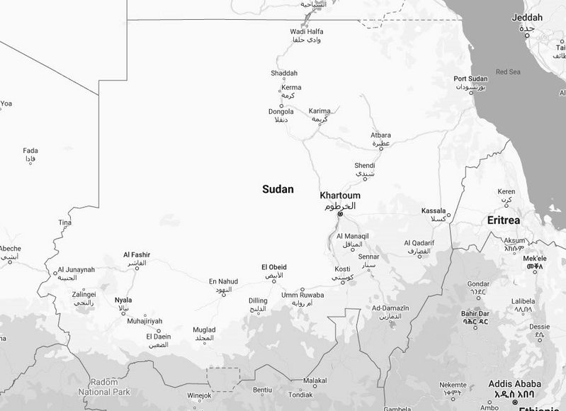 Evacuation / Extraction Team - Sudan