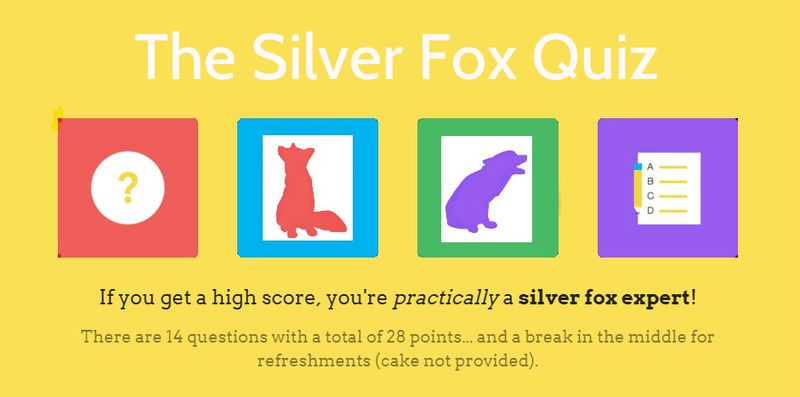 Silver Fox Quiz