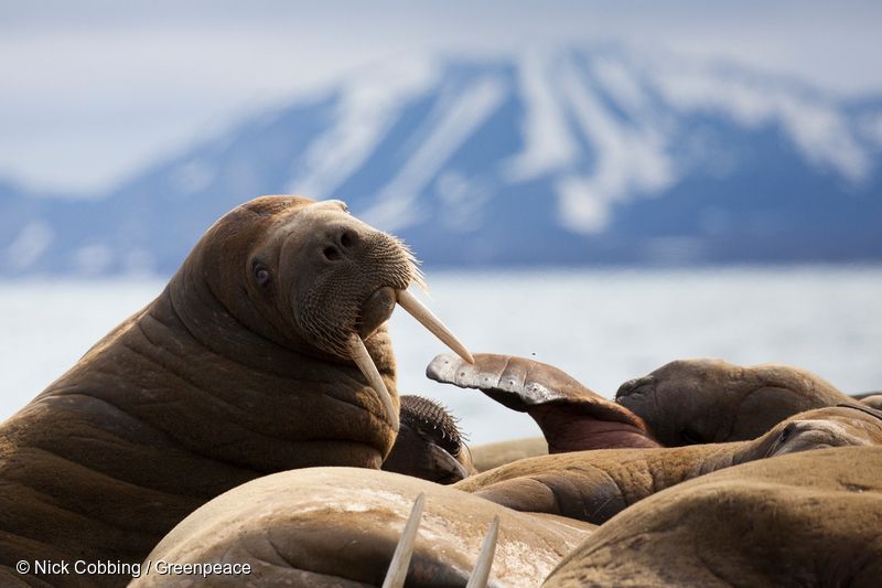 ZUIDPOOL vs NOORDPOOL QUIZ