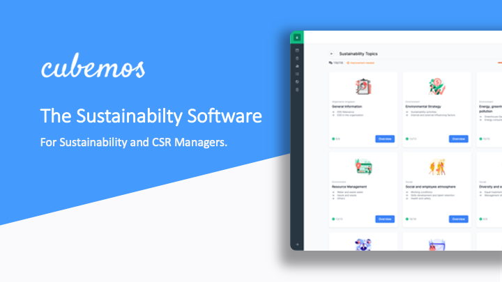 cubemos - Materialitäts Analyse