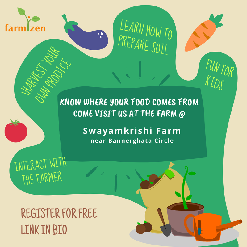 Visit an organic farm and make fun late-morning of it!