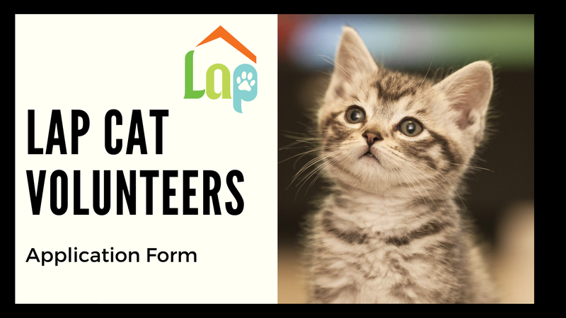 LAP Cat Volunteers Form