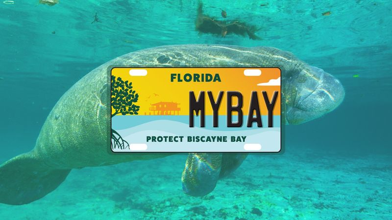 Biscayne Bay Specialty License Plate