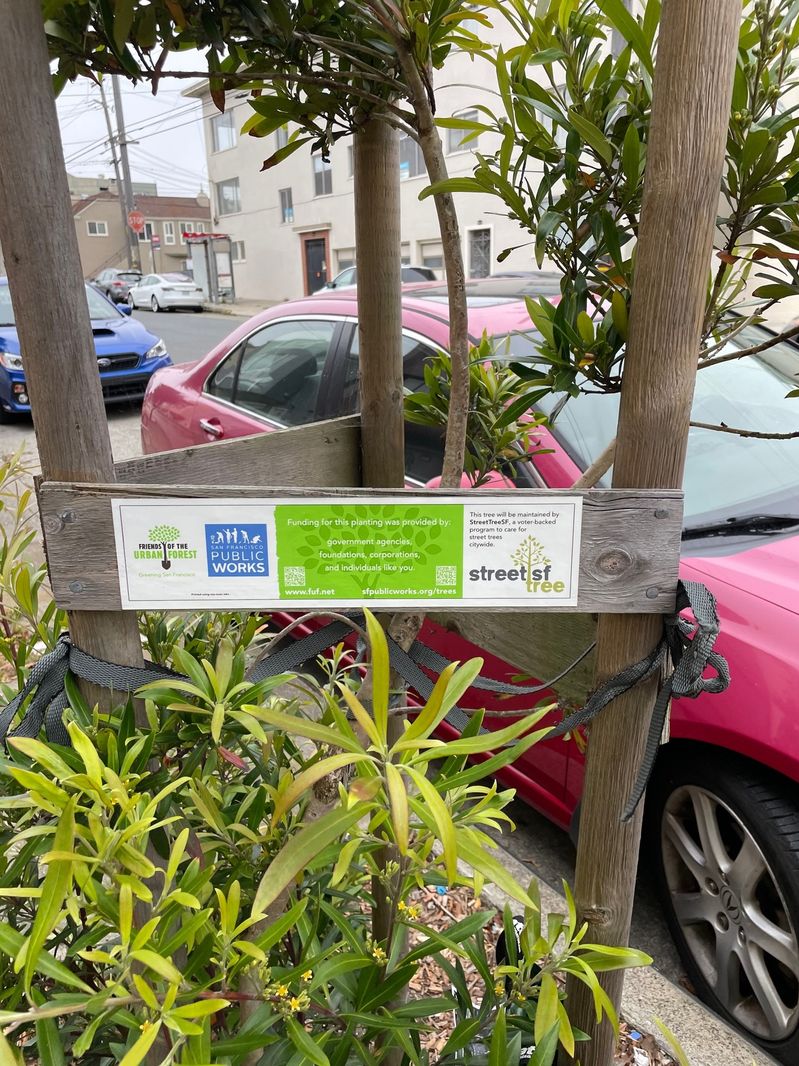 Tree Care Request Form