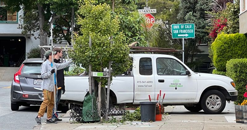 Tree Care Request Form