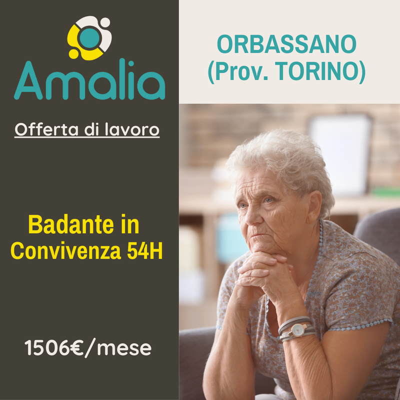 Offerta di lavoro badante in convivenza ad Orbassano (TO) | 1506 €/mese
