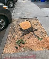 Tree Planting Request